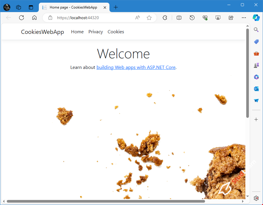 Учет печенья C Asp Net Core Razor Pages Sql Server Исходники C скачать купить