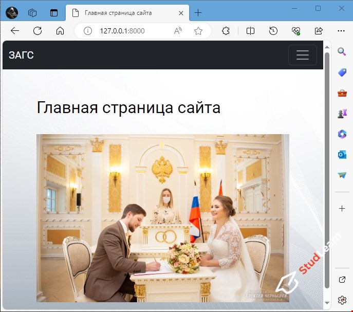 ЗАГС Python Django Bootstrap Sqlite Css Html Исходники Python скачать купить