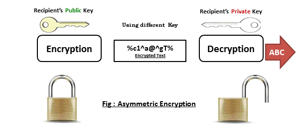 Криптография в C Rsa Des Sha1 Исходники Net C скачать купить